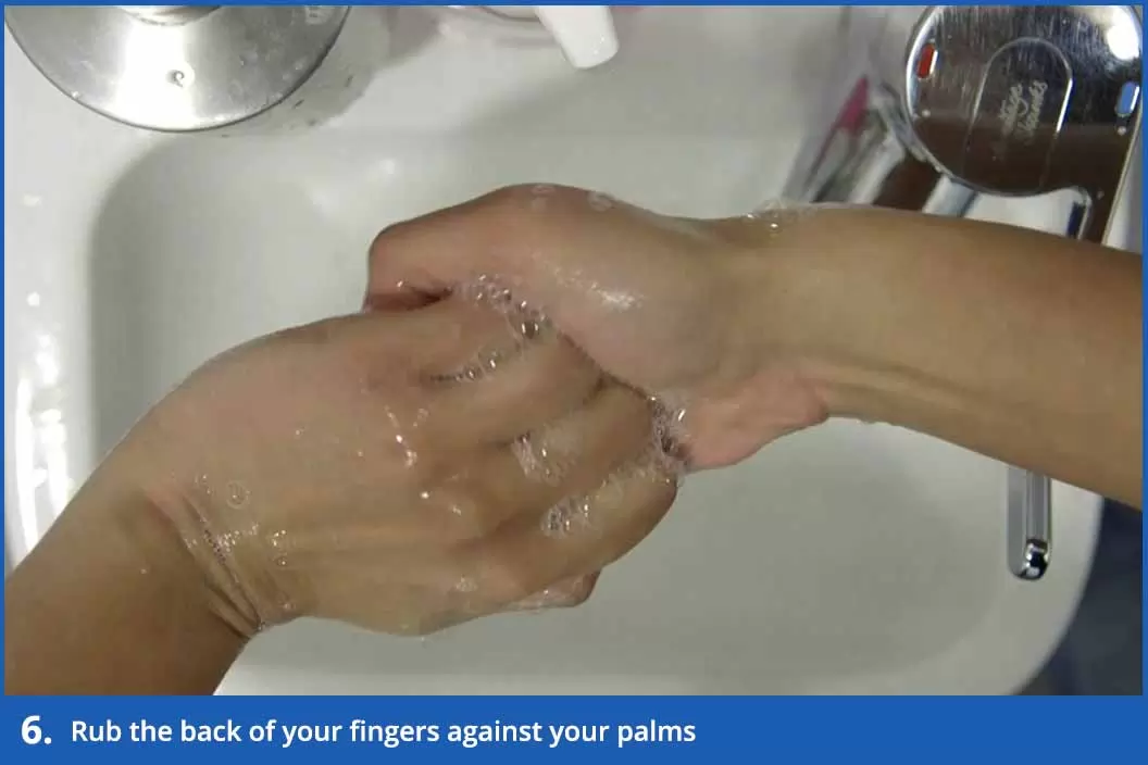 Hand-washing guide to prevent the spread of COVID-19 - News - TLTP Group